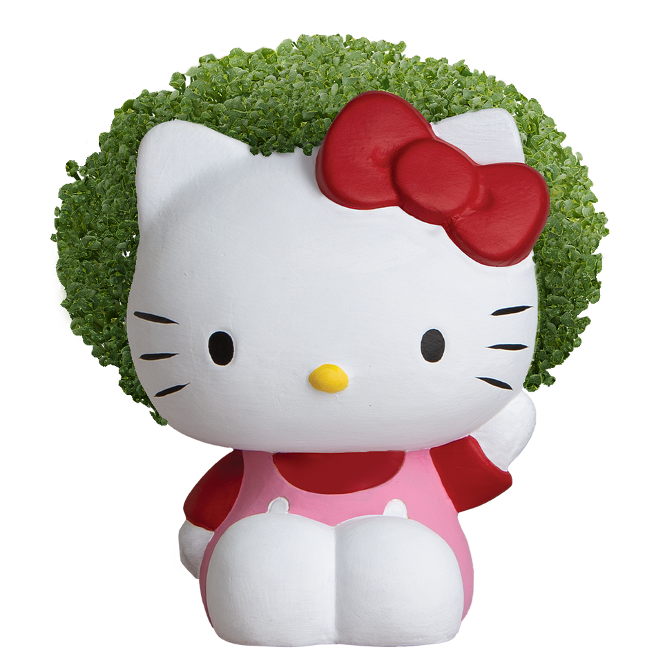 Hello Kitty® Chia Pet® – Chia.com