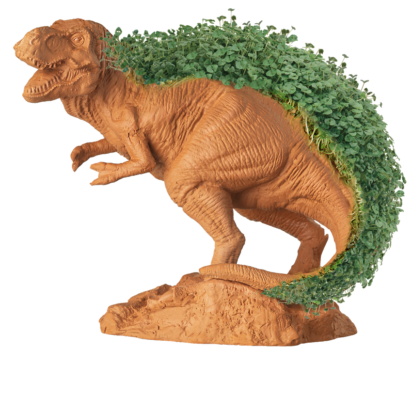 Collections – Chia.com