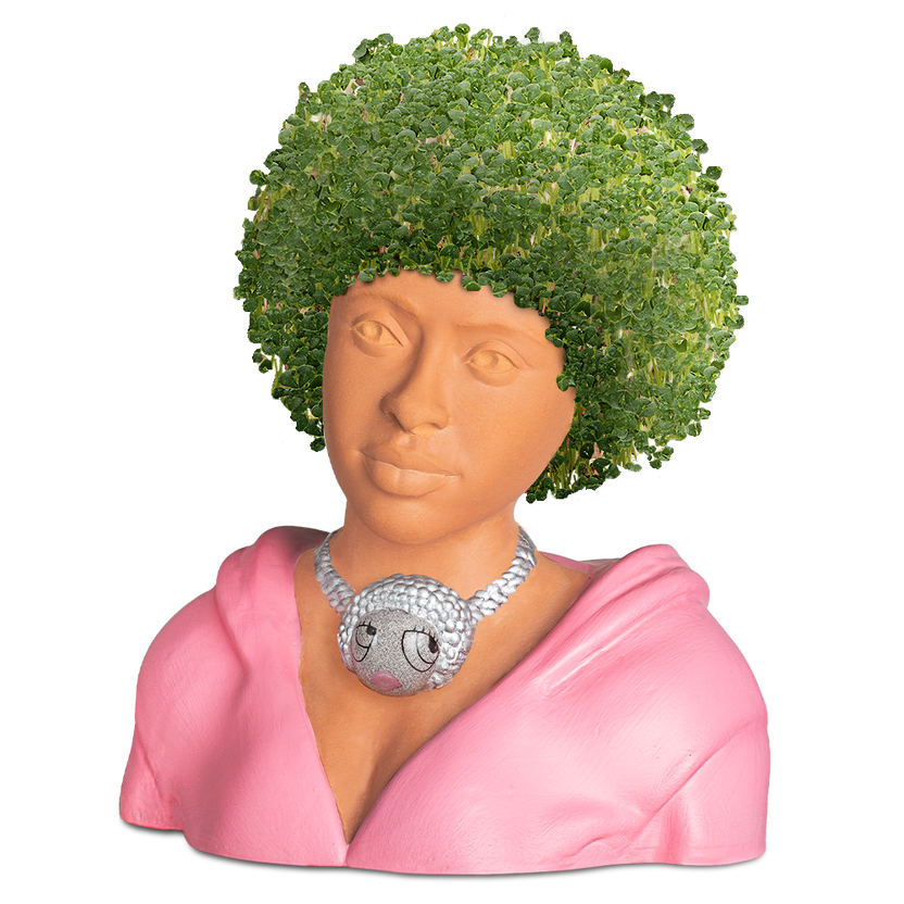 Chia.com