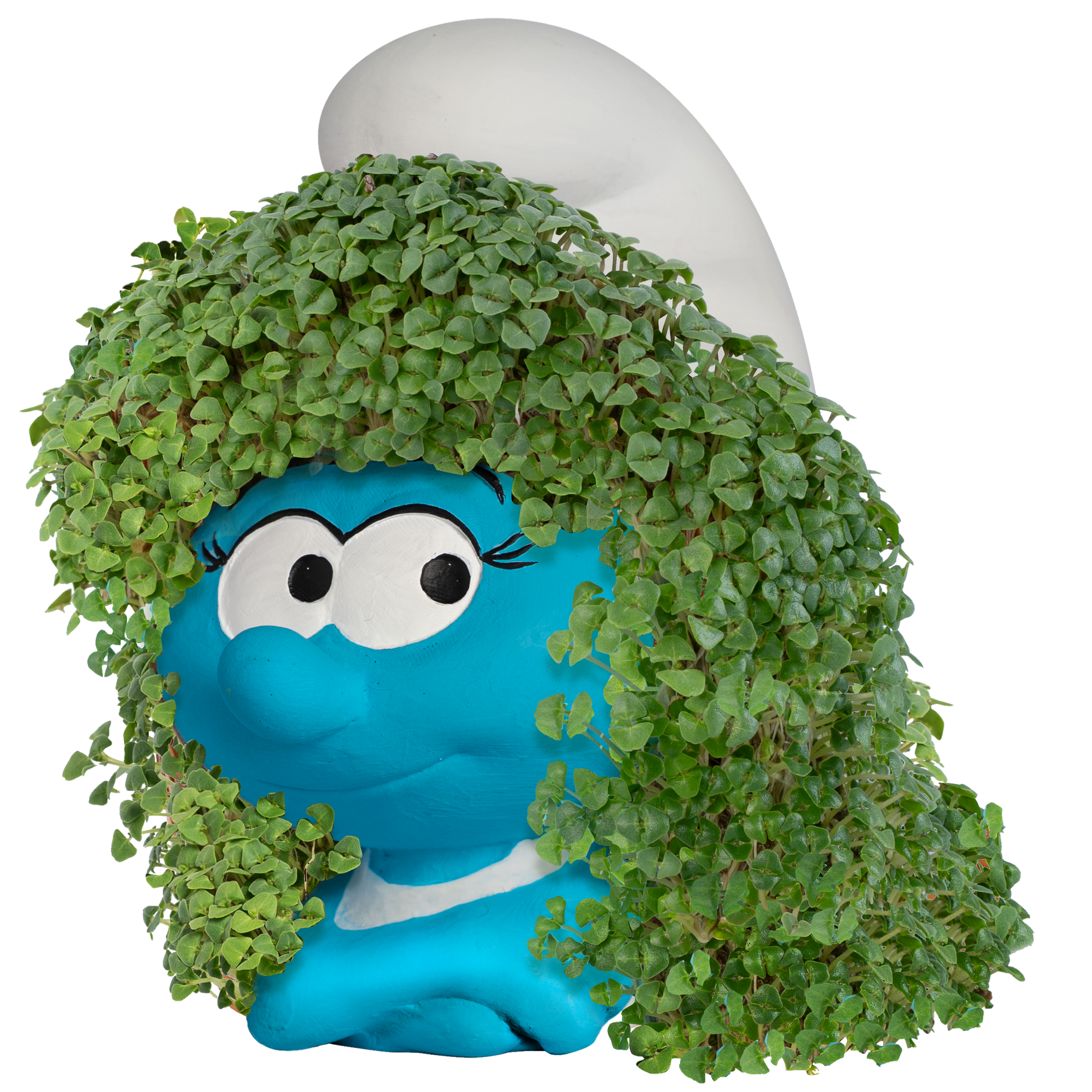 Chia Pet – Chia.com