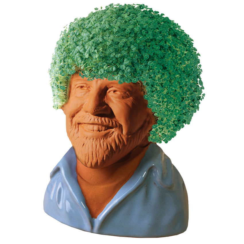 Bob Ross® in Blue Shirt Chia Pet® – Chia.com